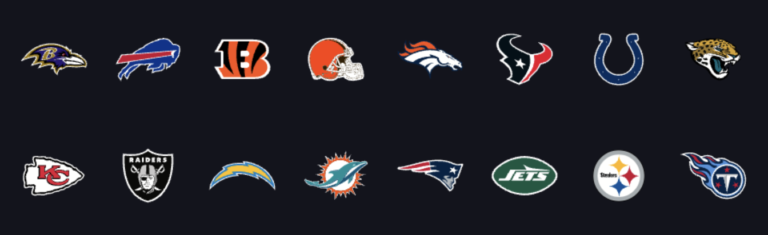 🎯 NFL Random Team Spinner 🏈 Random AFC & NFC Team Generator- Pick The Wheel